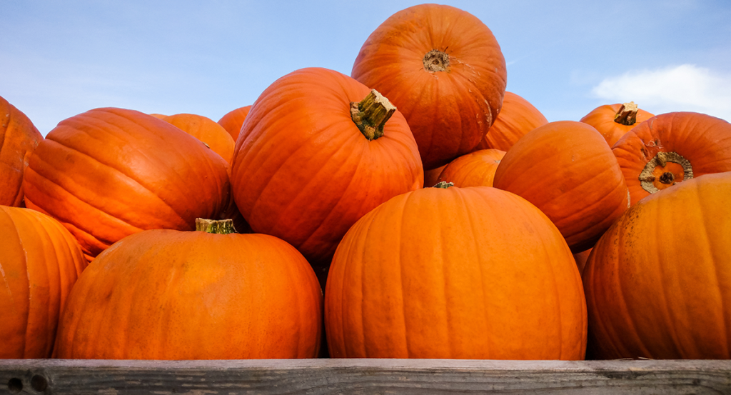 What’s in Season: Pumpkins | Catholic Health - The Right Way To Care